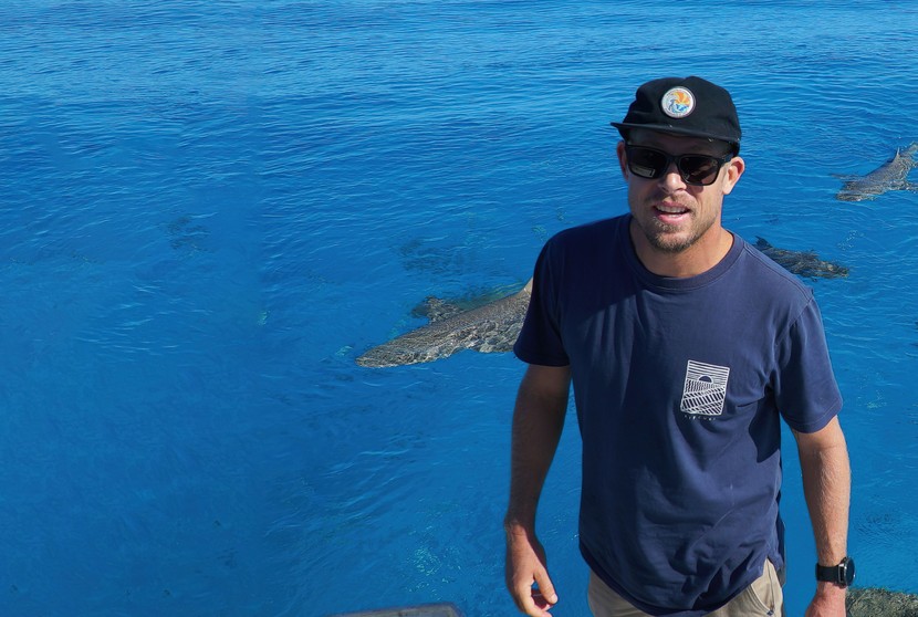 Save This Shark - Parte 1: assista agora!