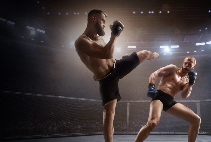 Assistir 119ª temporada de Jungle Fight online no Globoplay