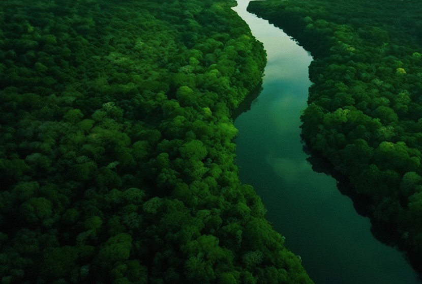 Rocket Amazônia: assista agora!