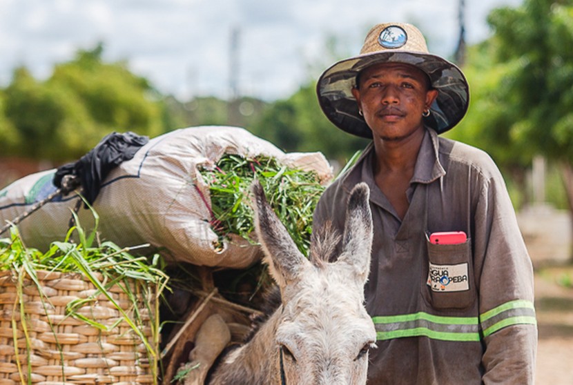 Assistir Mimbó online no Globoplay