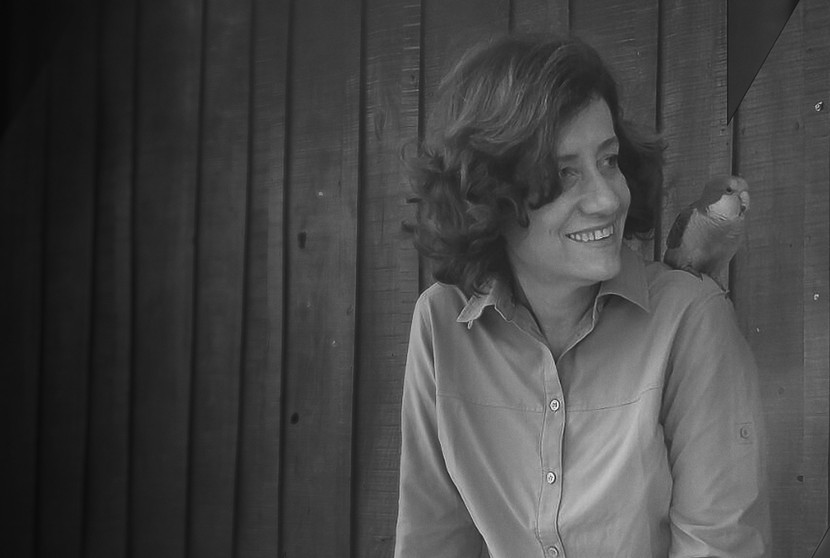 História Do Futuro Assista Agora