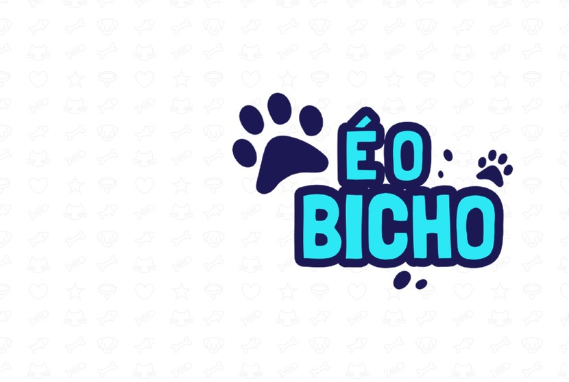 Assistir É o Bicho - BH e região online no Globoplay