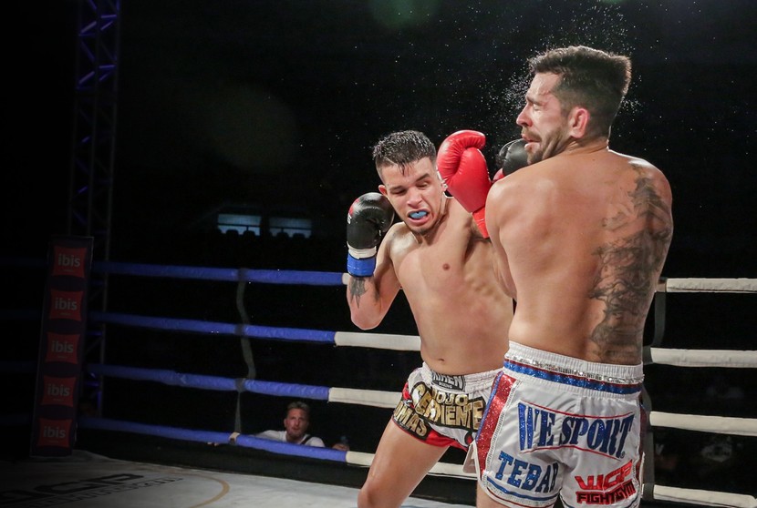 WGP Studio: assista agora!