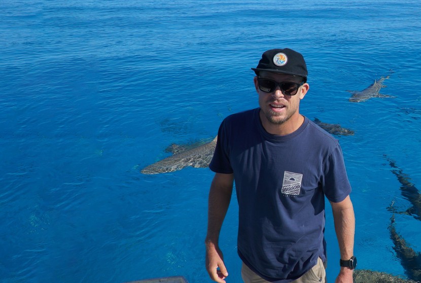 Save This Shark: assista agora!