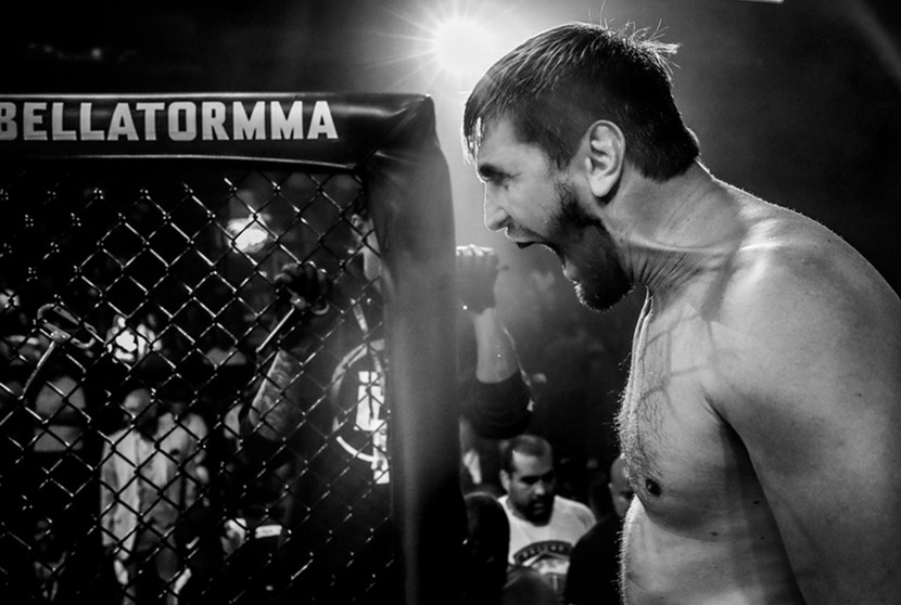 Bellator MMA: assista agora!